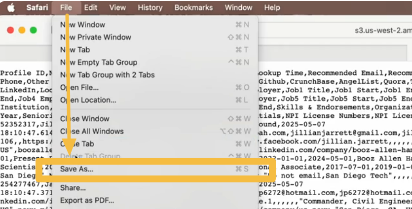 I opened the download (CSV file) but it is just a bunch of text ...